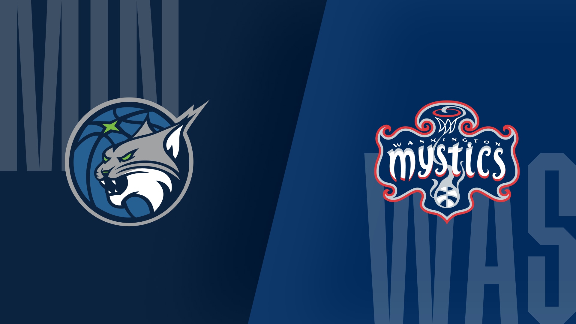 Minnesota Lynx vs Washington Mystics Aug 30, 2009 Game Summary | WNBA.com