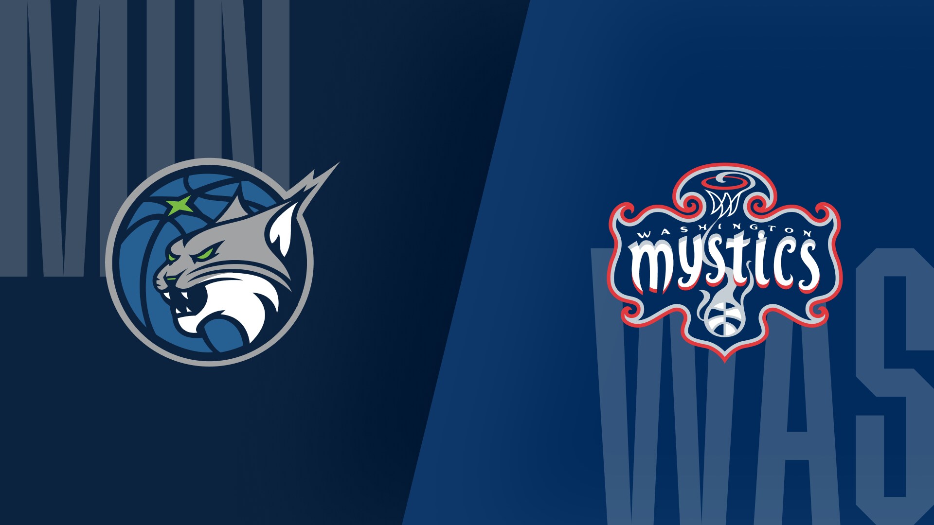Minnesota Lynx vs Washington Mystics Sep 14, 2008 Game Summary | WNBA.com