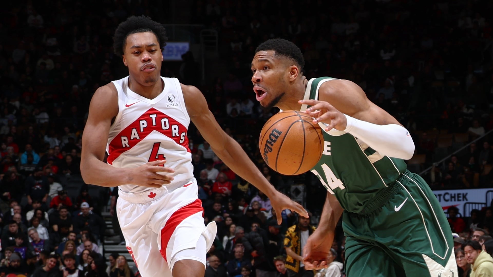Raptors bucks store