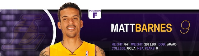 matt barnes stats