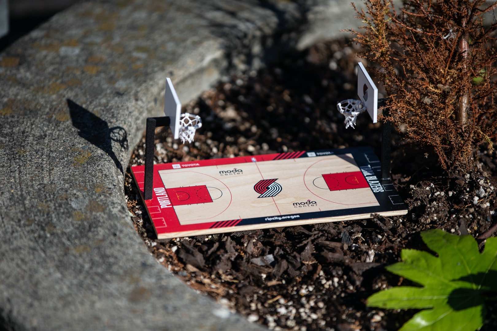 PHOTOS » The 2020-21 season court design Photo Gallery | NBA.com