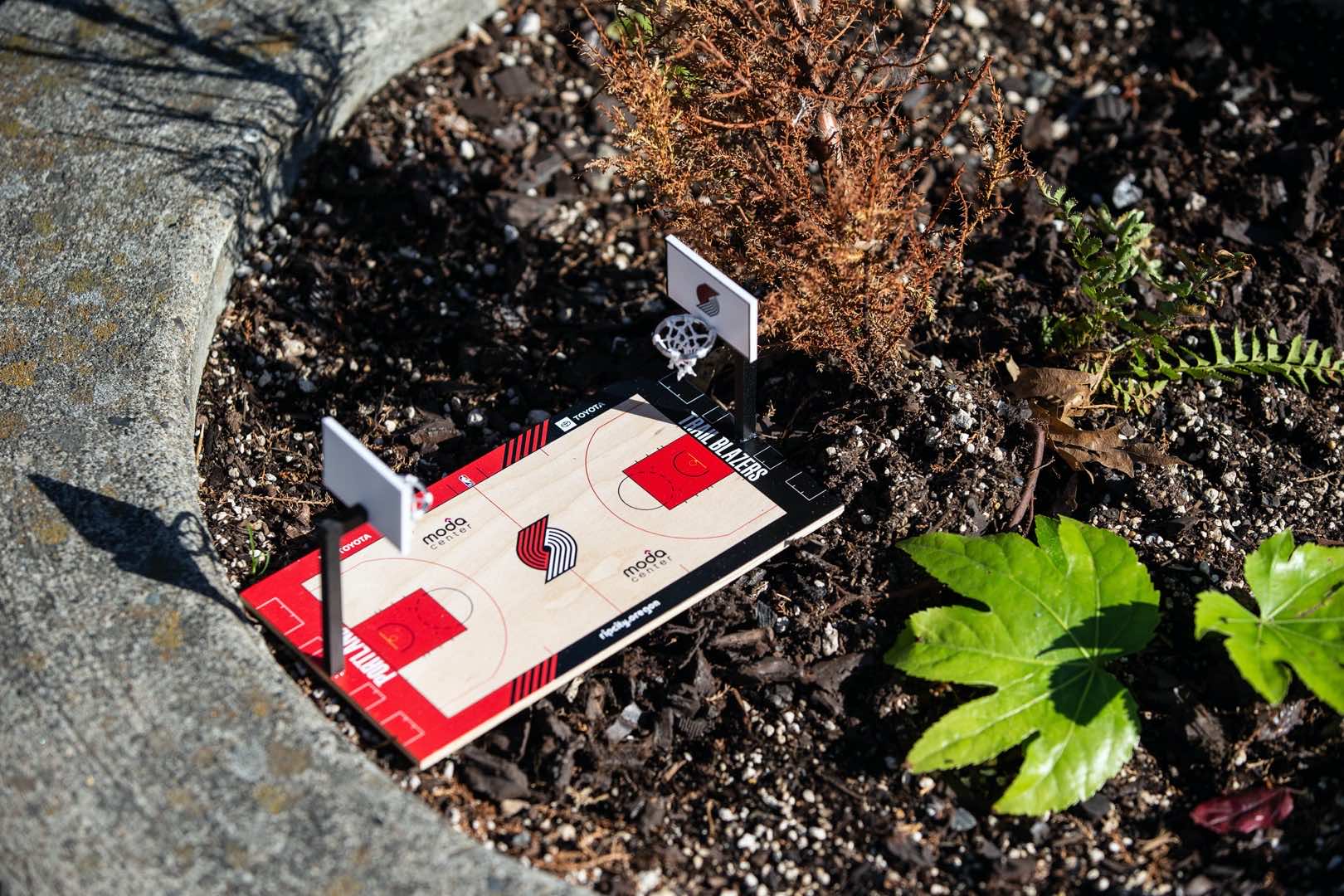 PHOTOS » The 2020-21 season court design Photo Gallery | NBA.com