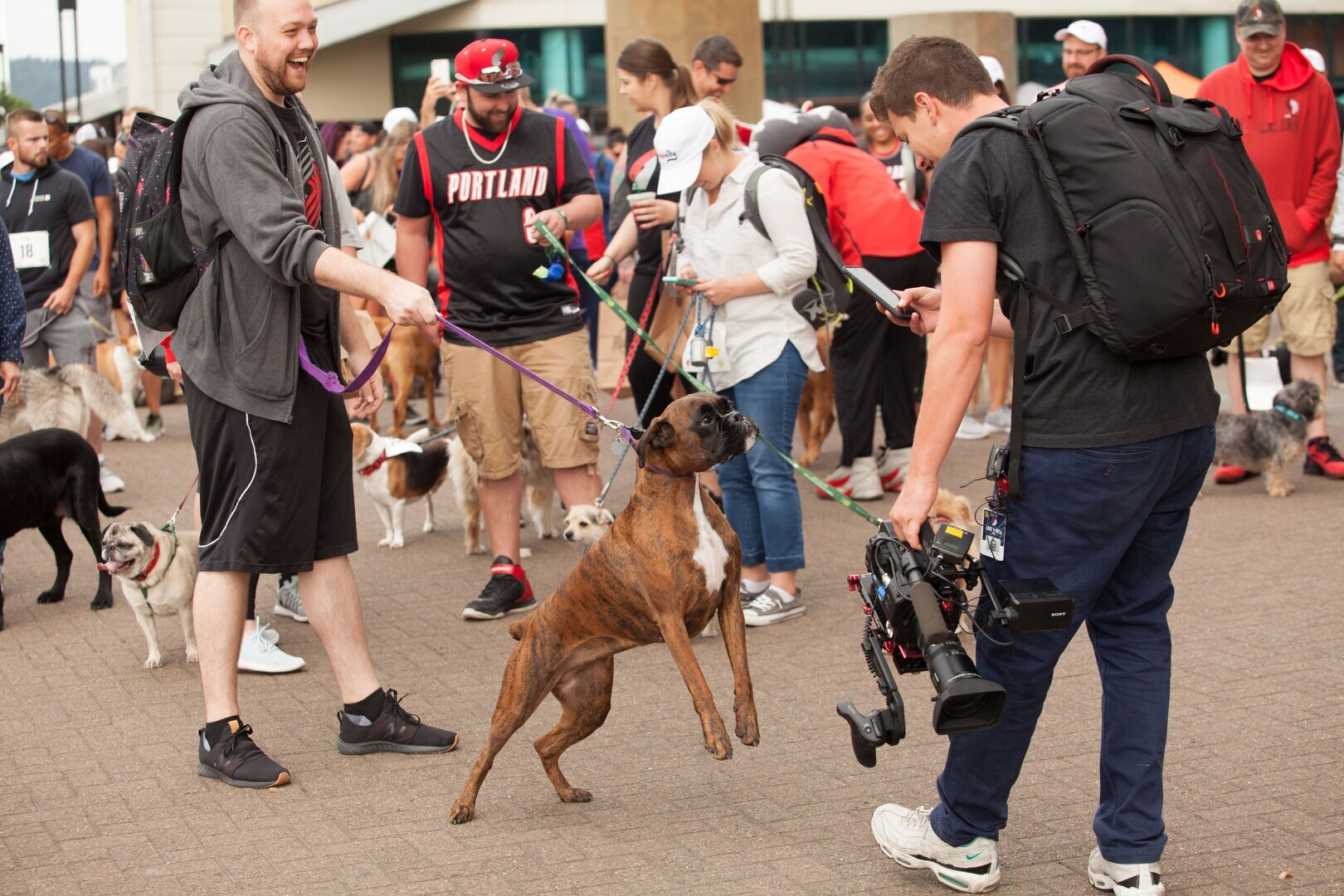 PHOTOS » Pup City Walk & Festival Photo Gallery | NBA.com