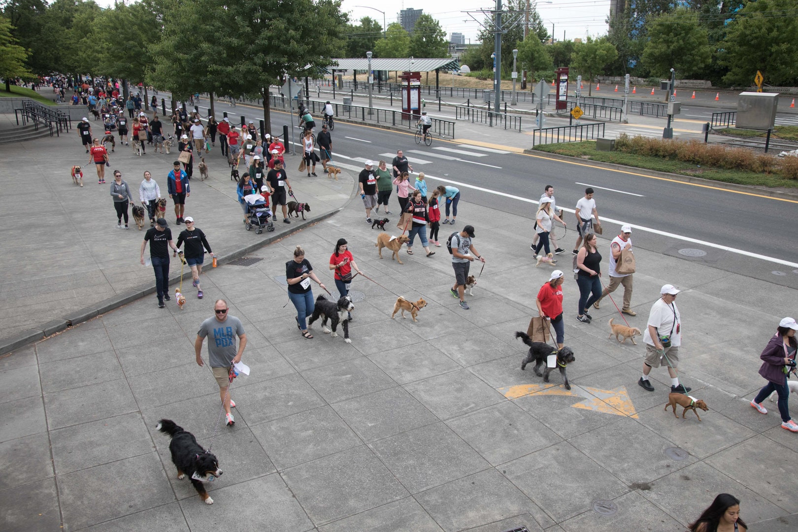 PHOTOS » Pup City Walk & Festival Photo Gallery | NBA.com