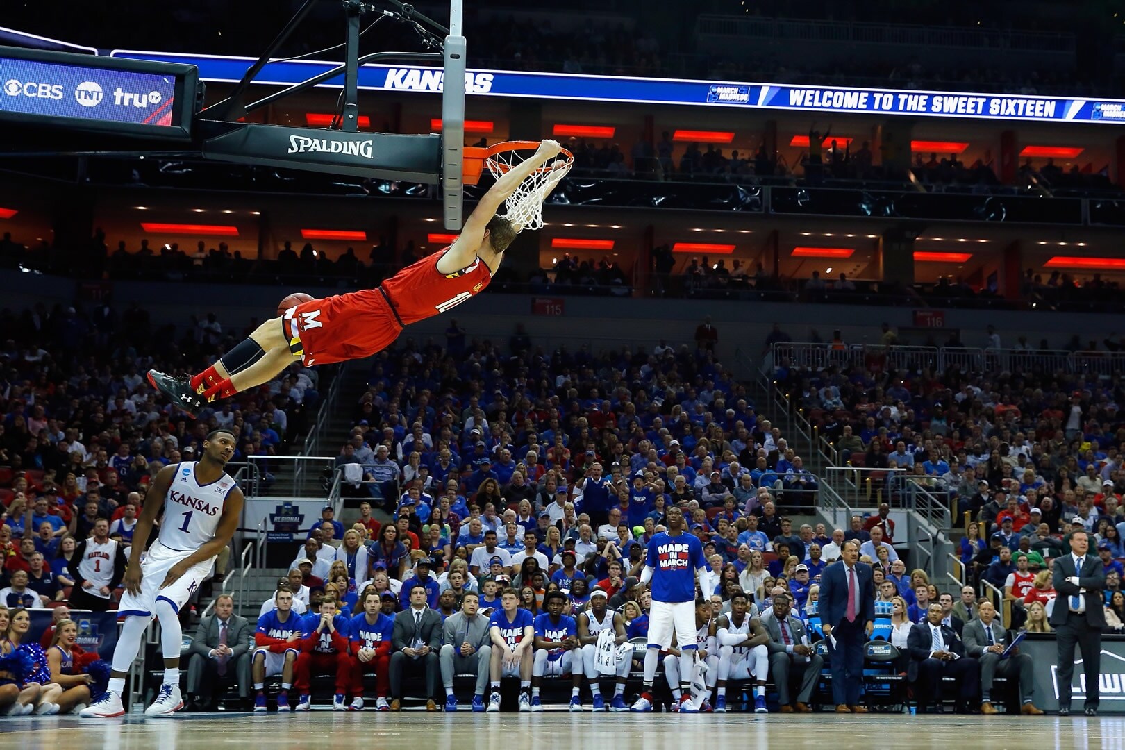 Photos: Jake Layman's Collegiate Career Photo Gallery | NBA.com