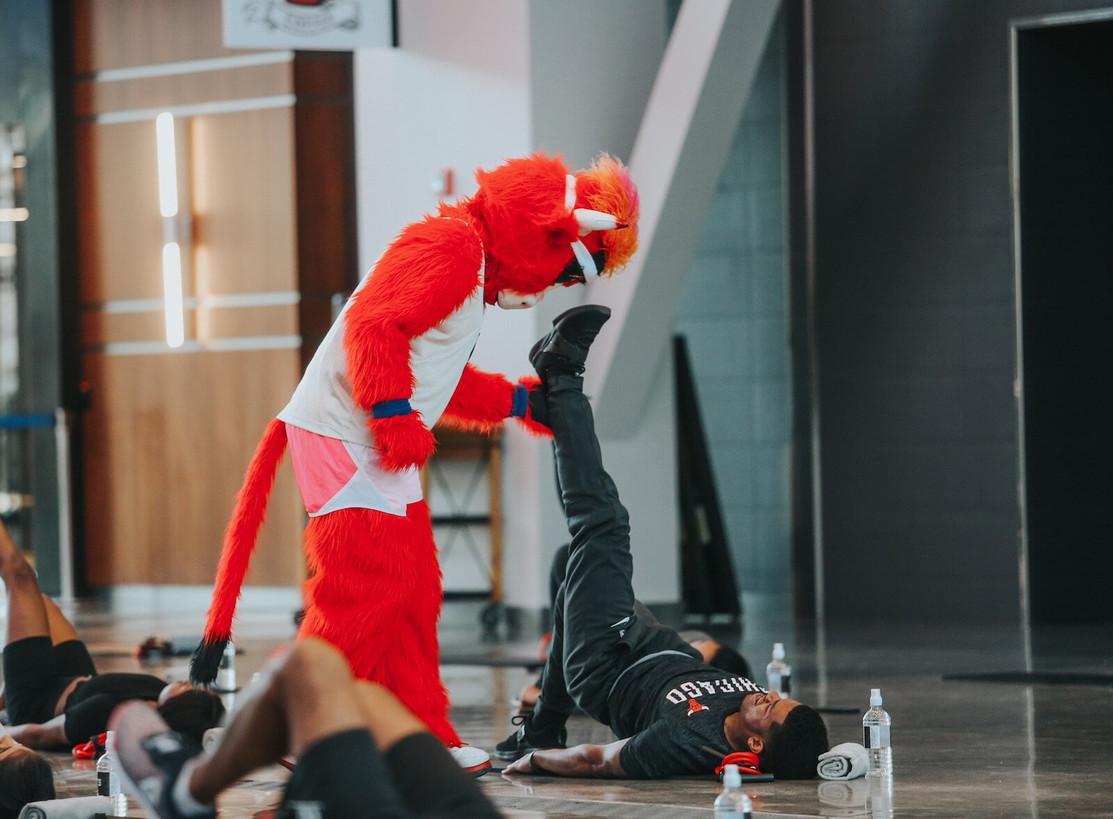 Chicago Bulls Workout Sessions - 03.23.19 Photo Gallery | NBA.com