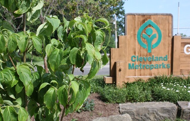 PwC's Trees for Threes in Cleveland Photo Gallery | NBA.com