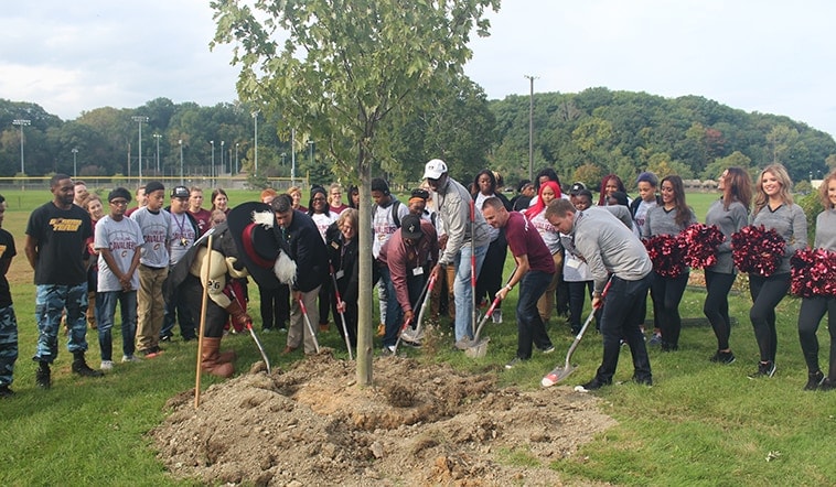 Cavs and PwC Team Up to Plant Trees in Cleveland | Cleveland Cavaliers