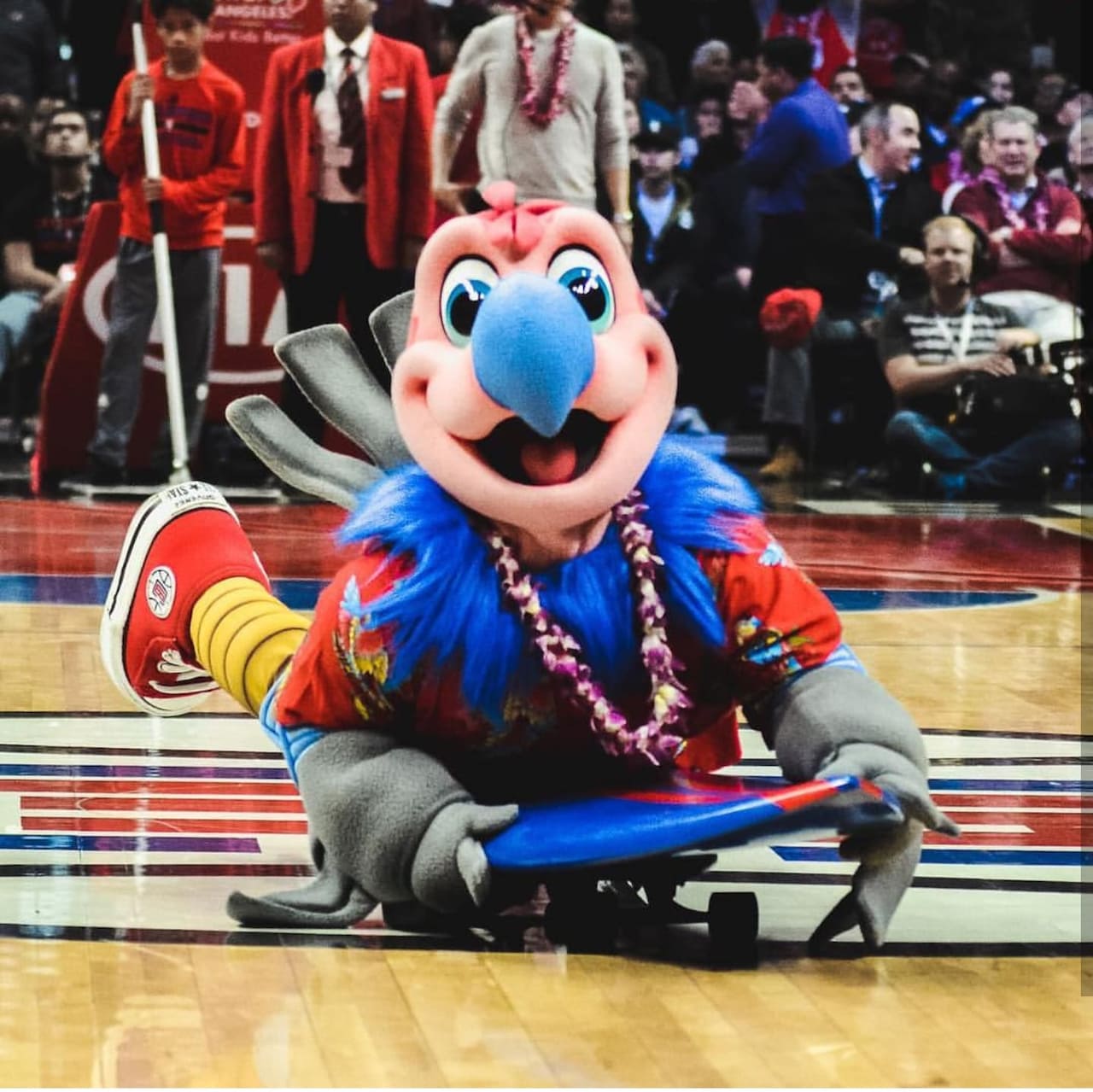 Photos: Meet Chuck, the LA Clippers Mascot | LA Clippers