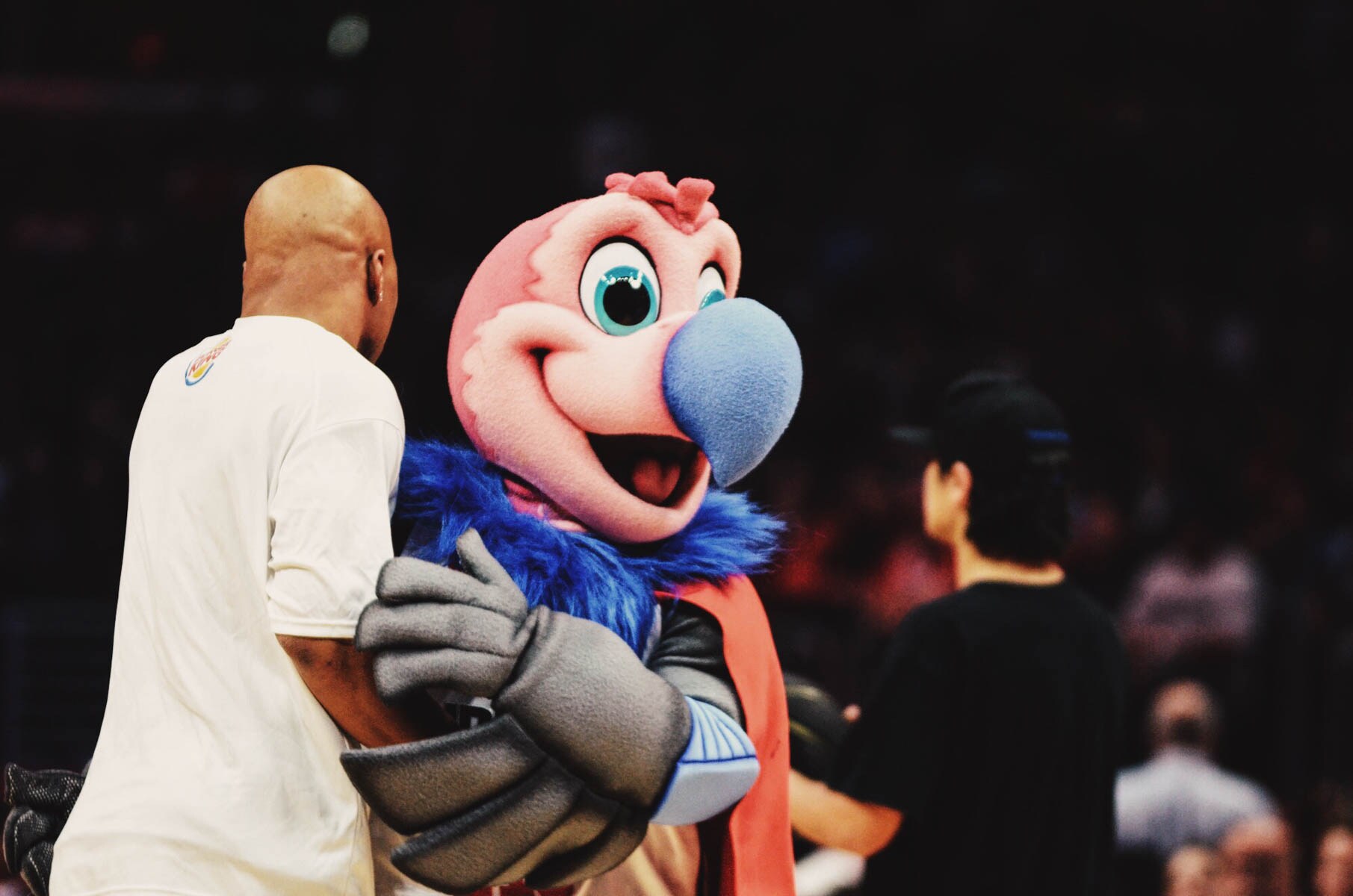 Photos: Chuck the Condor - 2/29/16 | LA Clippers