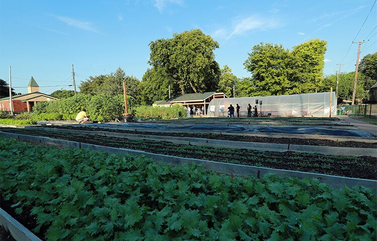 Gasol & Fizdale Greenleaf Learning Farms photos Photo Gallery | NBA.com