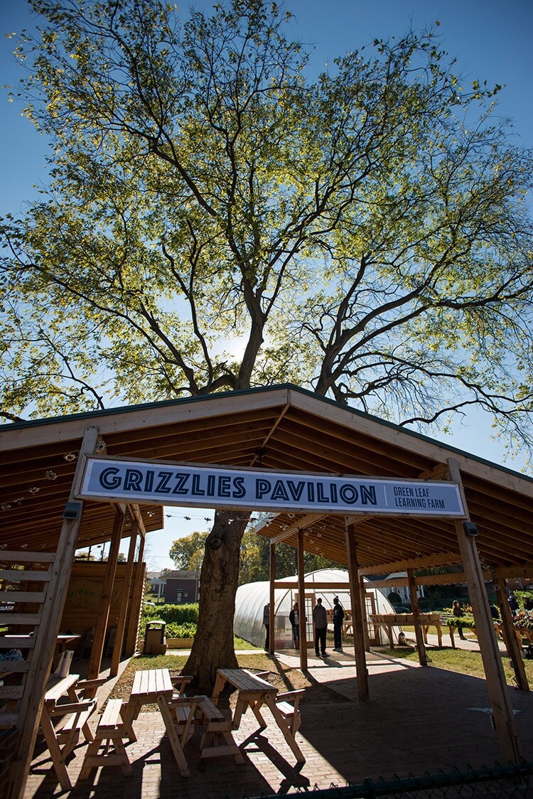Coach Fizdale distributes holiday baskets at Green Leaf | Memphis Grizzlies