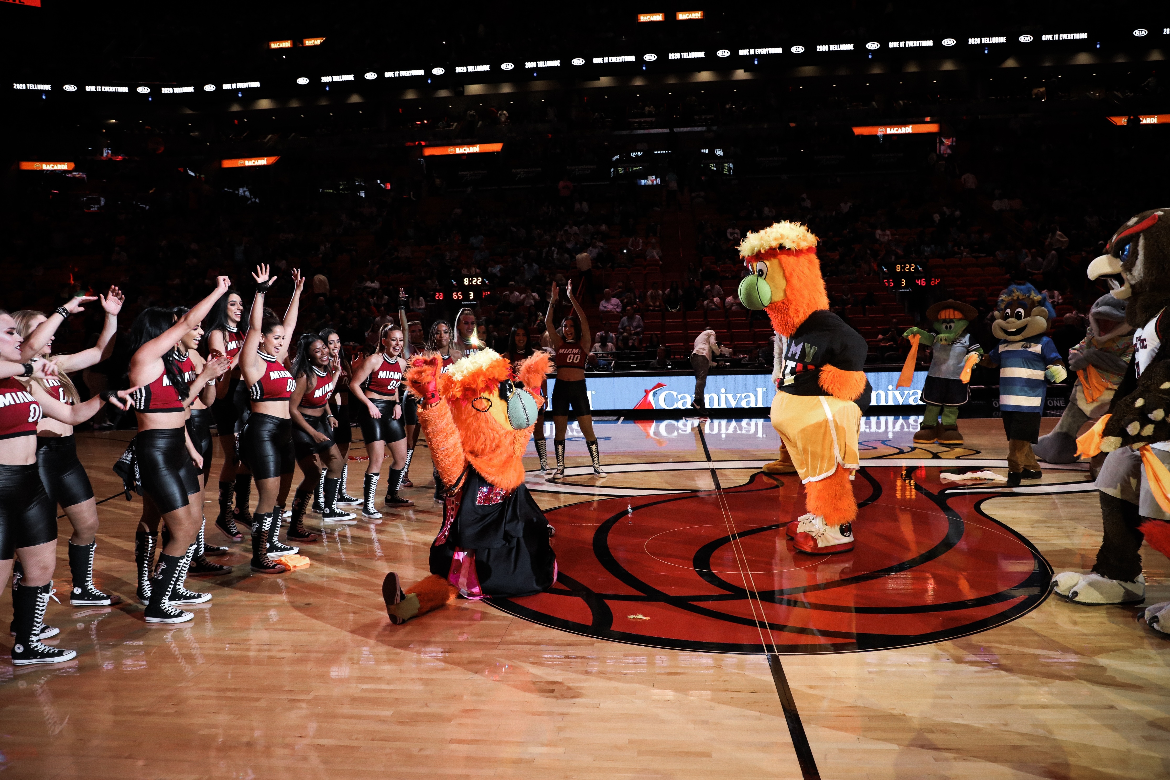 2019-20 HEAT Dancers Gallery Four Photo Gallery | NBA.com