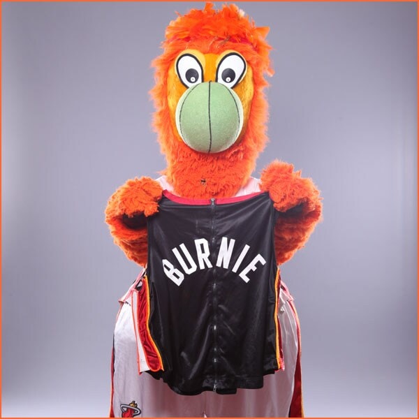 2010-11 Burnie Gallery: Entertainment Media Day Photo Gallery | NBA.com