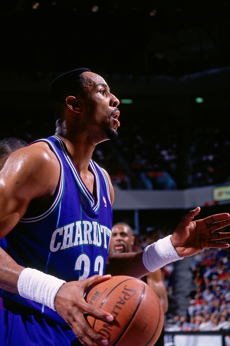 alonzo mourning nets