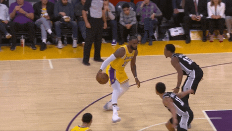 Lebron Flopping Gif