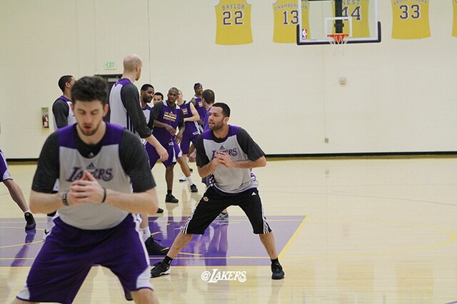 Lakers Practice - 11/20/13 Photo Gallery | NBA.com