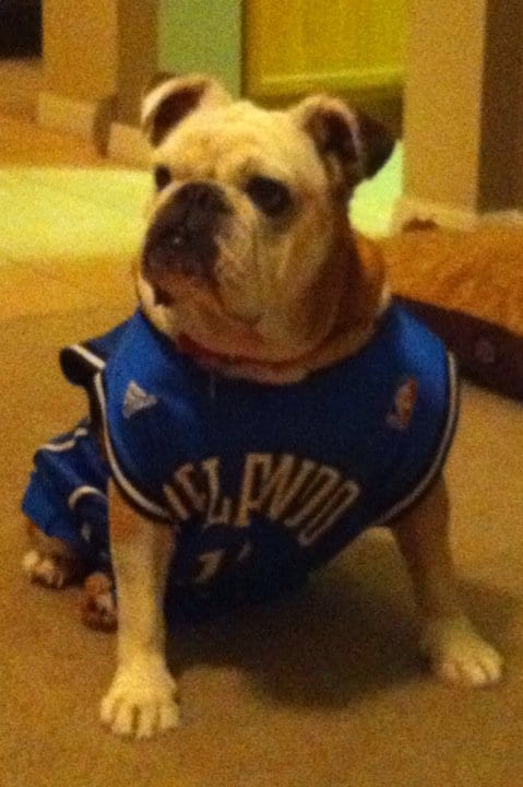 Photos: Pets Ready for Action Photo Gallery | NBA.com