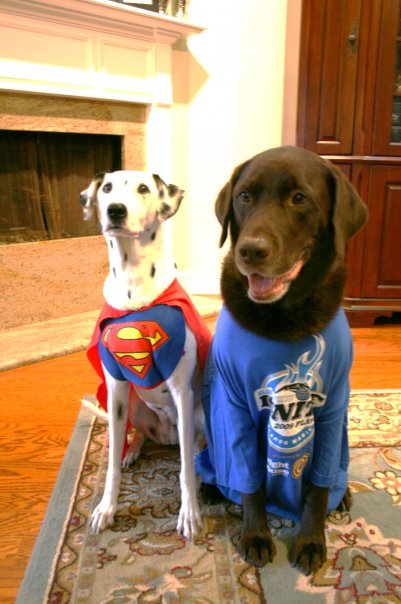 Photos: Pets Ready for Action Photo Gallery | NBA.com