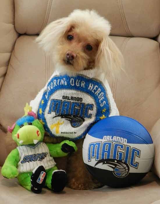 Photos: Pets Ready for Action Photo Gallery | NBA.com