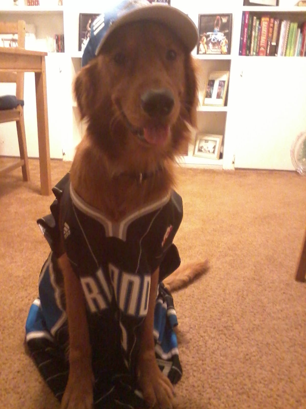 Photos: Pets Ready for Action Photo Gallery | NBA.com