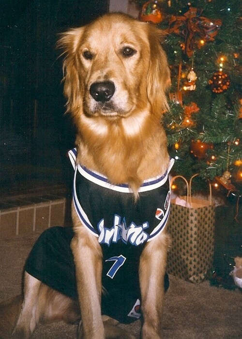 Photos: Pets Ready for Action Photo Gallery | NBA.com