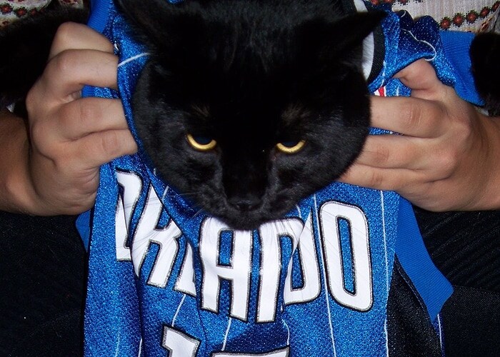 Photos: Pets Ready for Action Photo Gallery | NBA.com