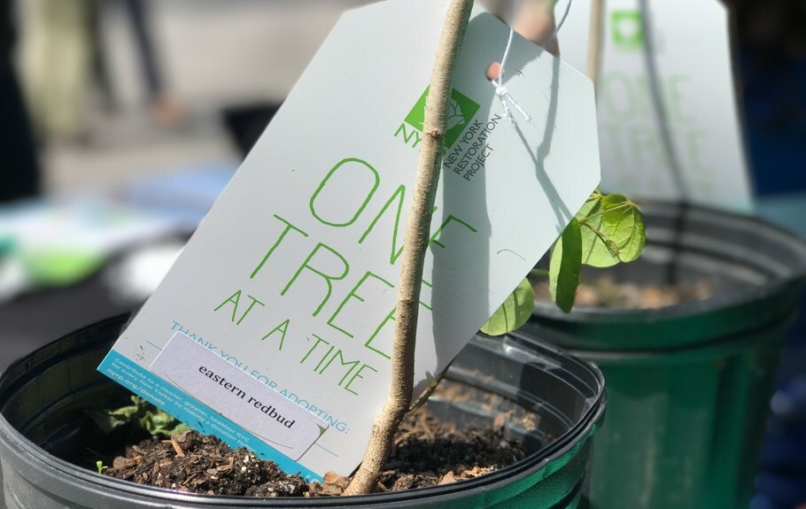 Tree Giveaway with PwC and NYRP Photo Gallery | NBA.com