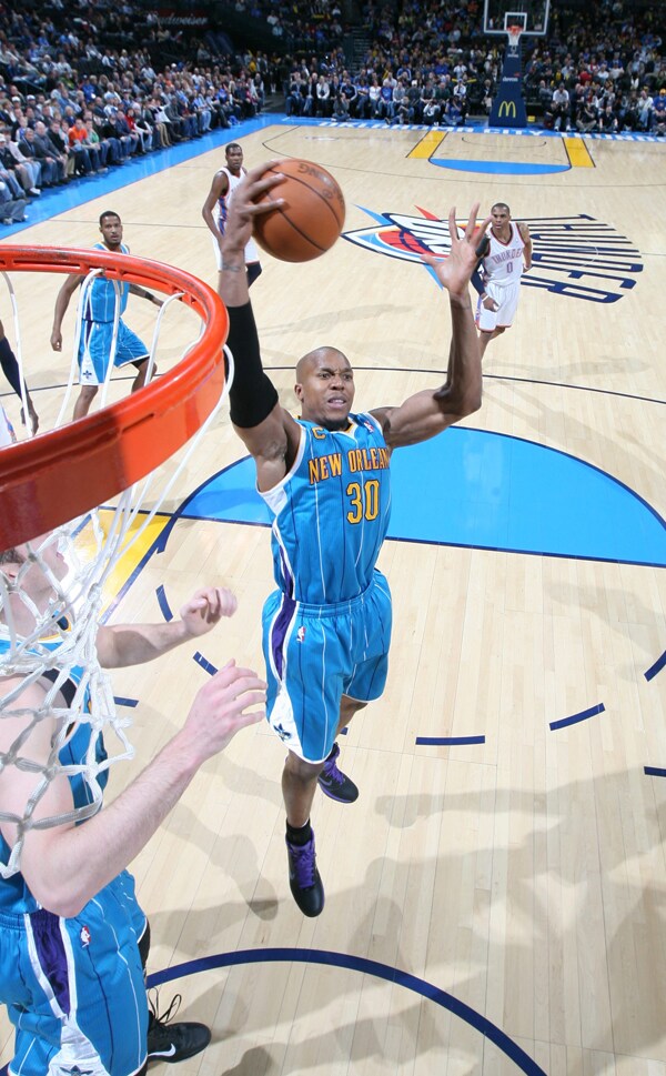 david west current team