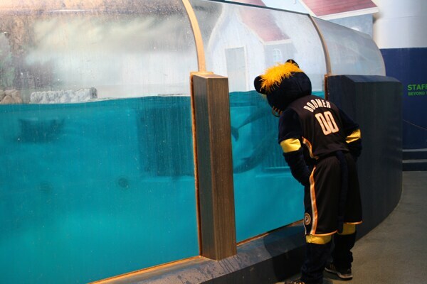 Larry Bird Statue | Indiana Pacers