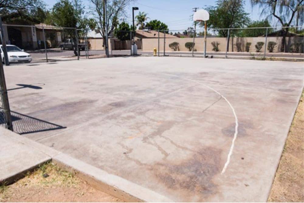 50 Suns Seasons, 50 Arizona Courts Photo Gallery | NBA.com