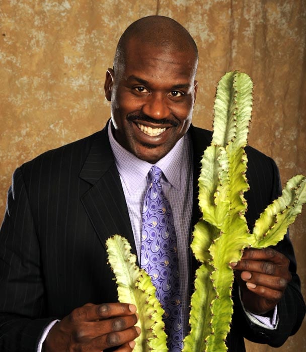 Shaquille O'Neal Through the Years | Phoenix Suns