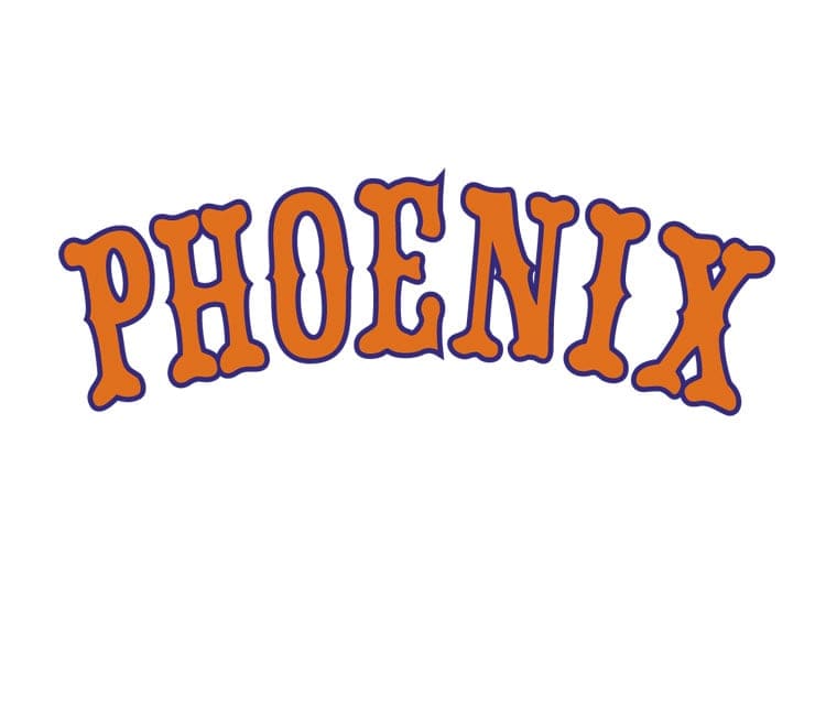 50 Years of Phoenix Suns Logos | Phoenix Suns