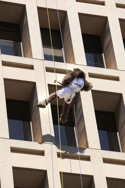 Rumble Rappells Down SandRidge Energy building Photo Gallery | NBA.com