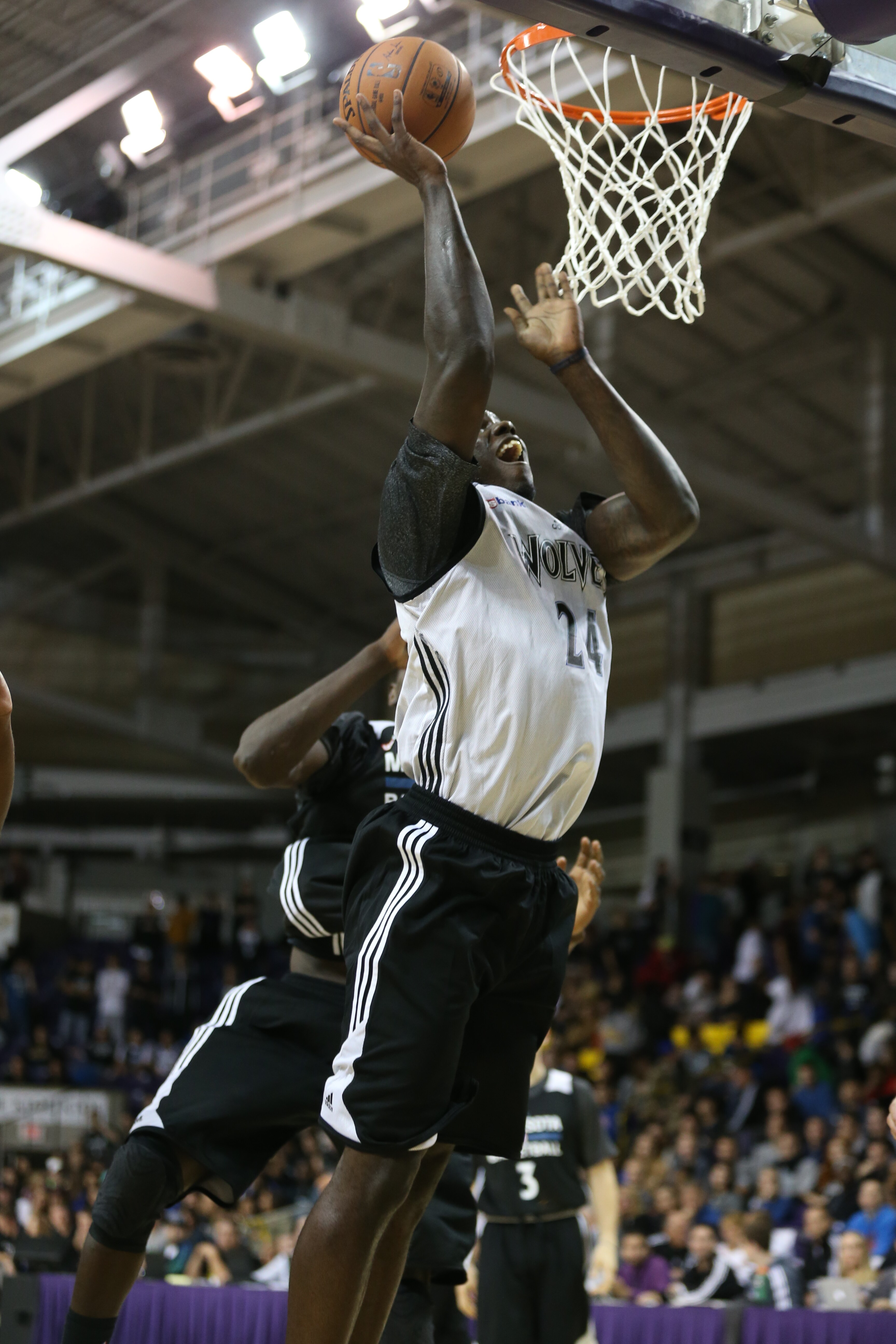 anthony bennett timberwolves