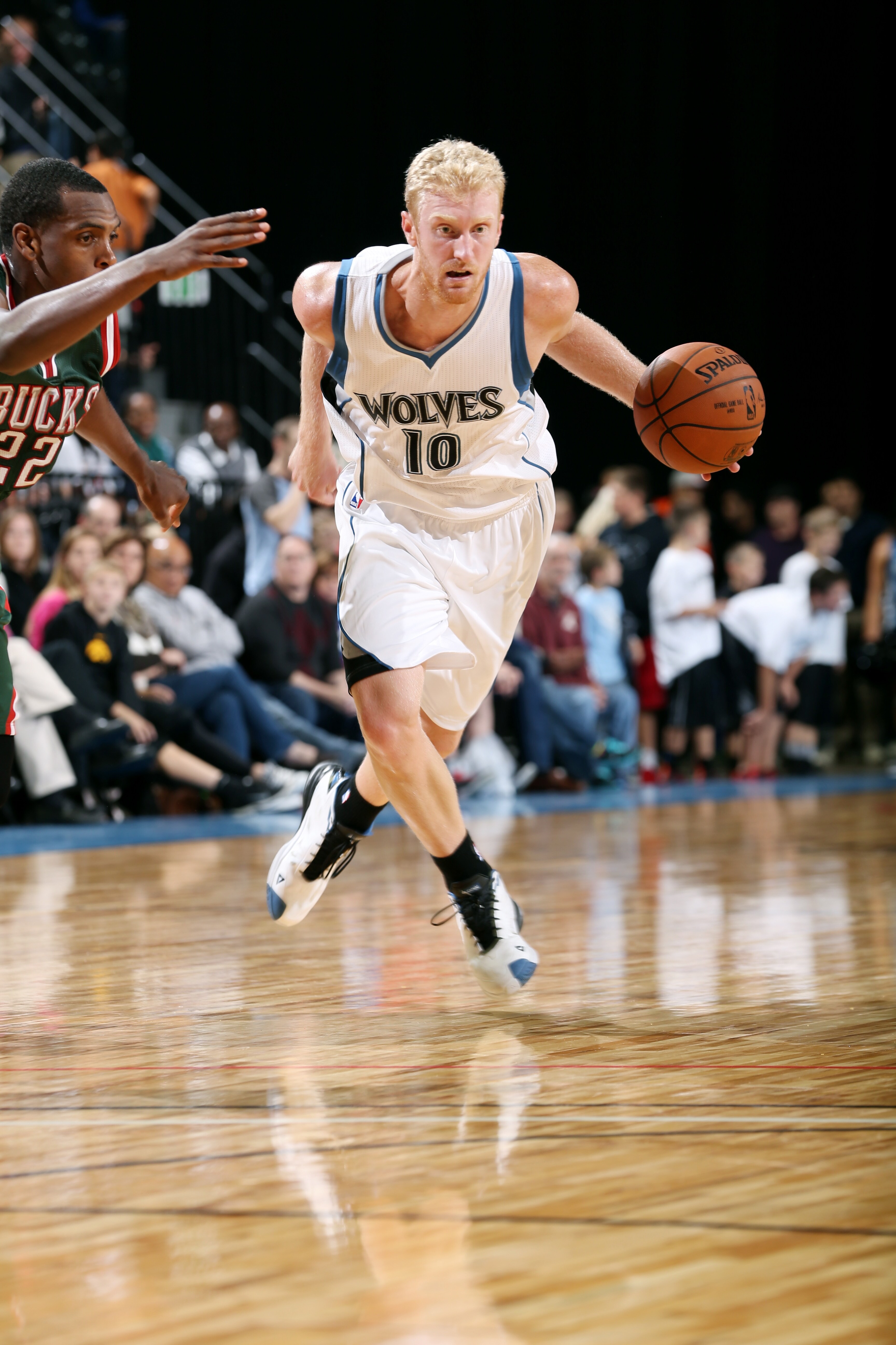 chase budinger timberwolves