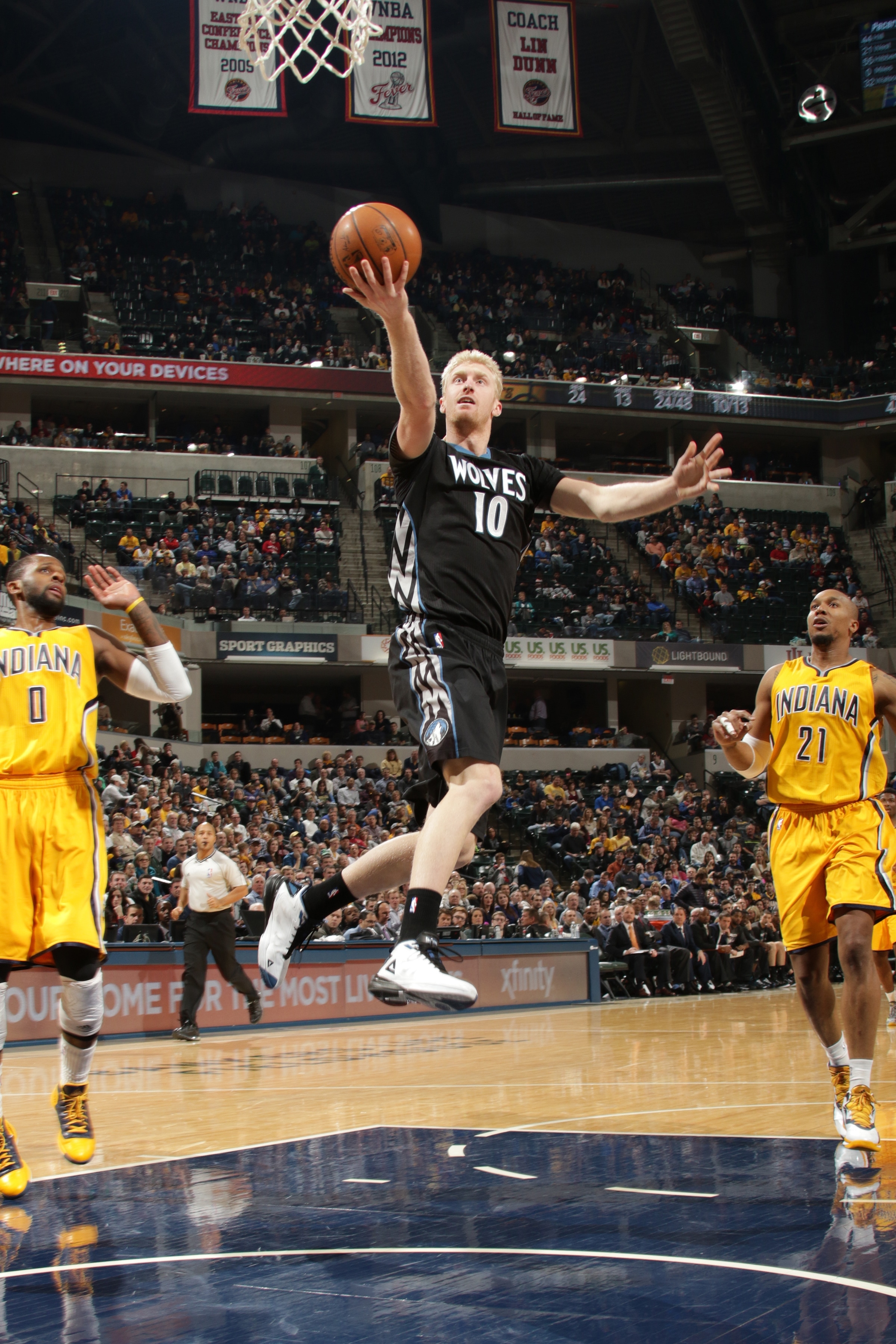 chase budinger timberwolves