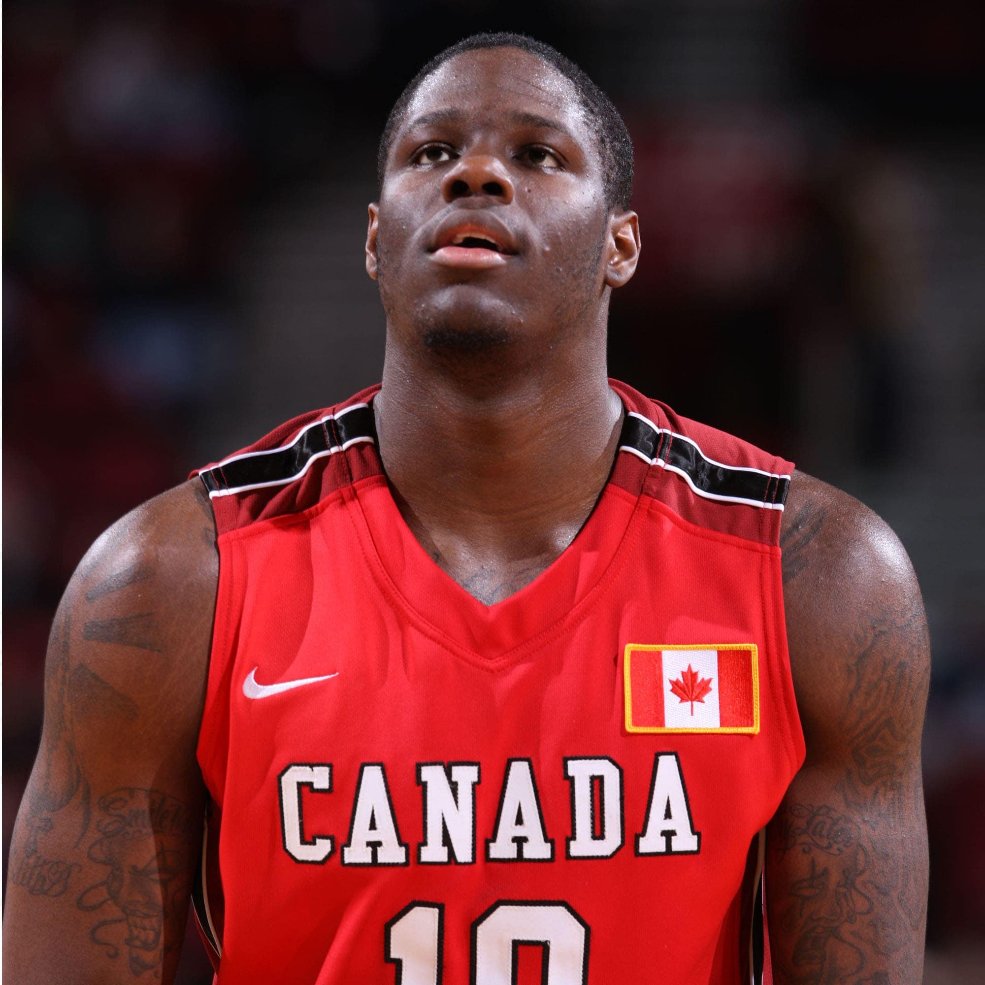 anthony bennett timberwolves