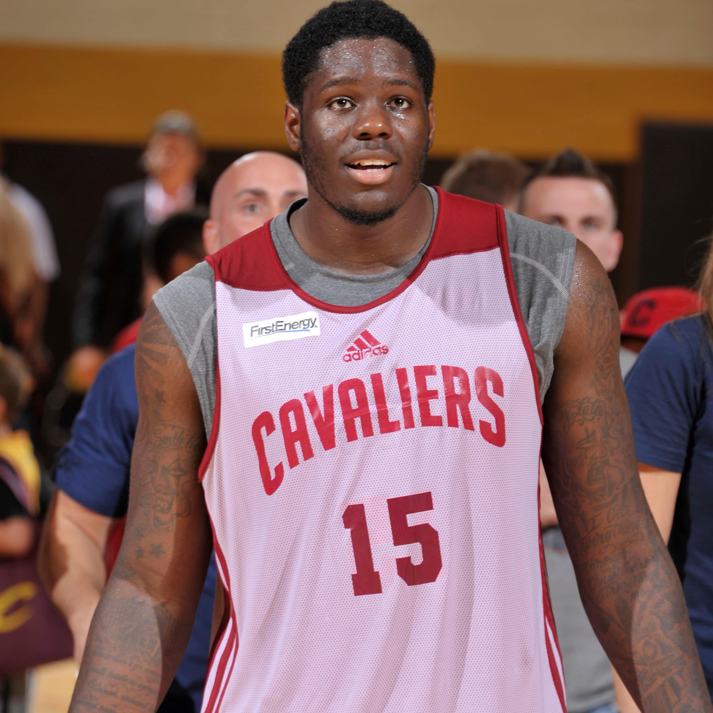 anthony bennett timberwolves