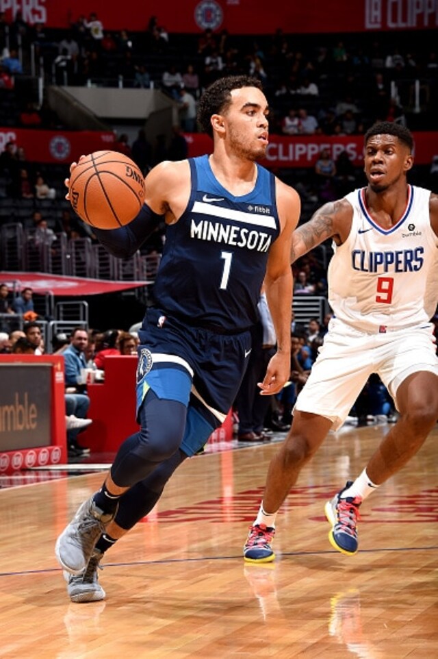 timberwolves clipp