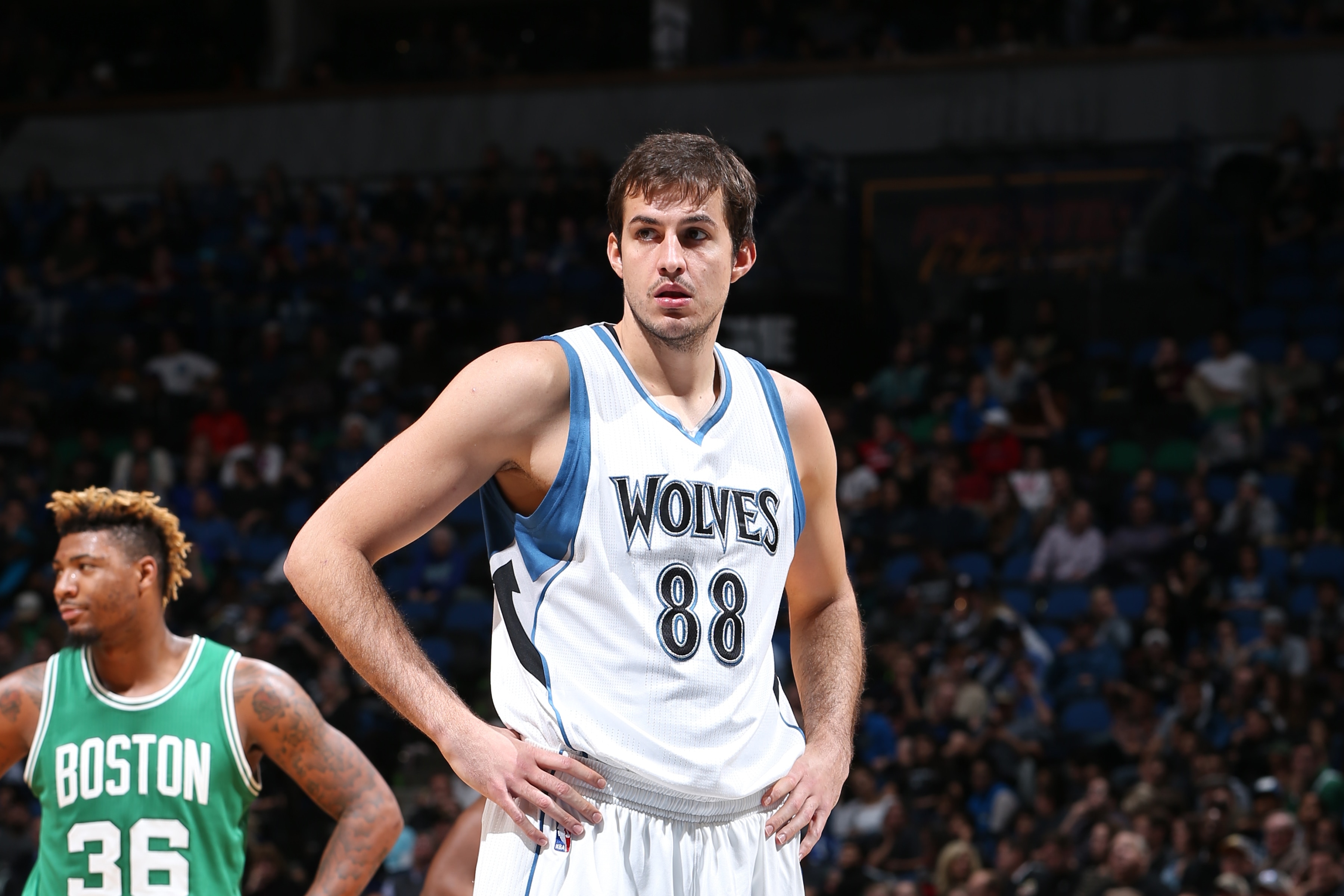 A Season In Photos | Nemanja Bjelica | Minnesota Timberwolves