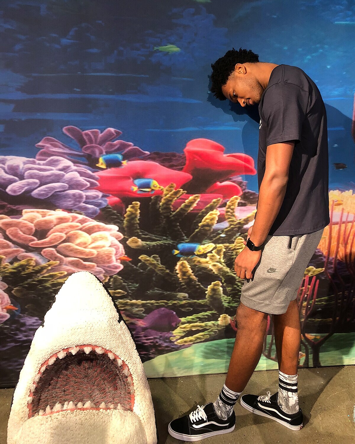 National Candy Day Photo Gallery | NBA.com National Candy Day Photo Gallery | NBA.com