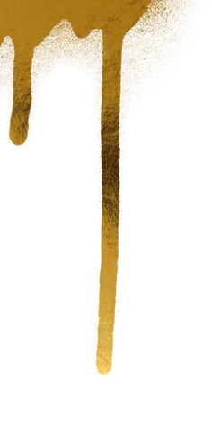 2025 Playoffs Central | Indiana Pacers