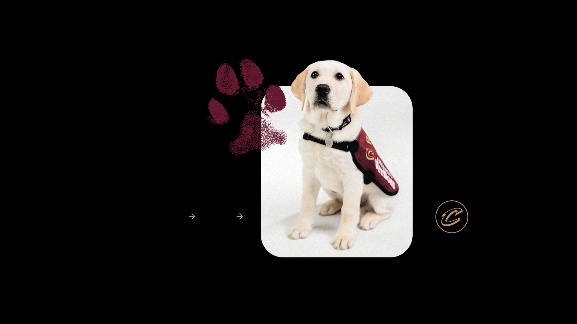 Future Service Dog Reggie Joins Rock Entertainment Group, Cleveland ...