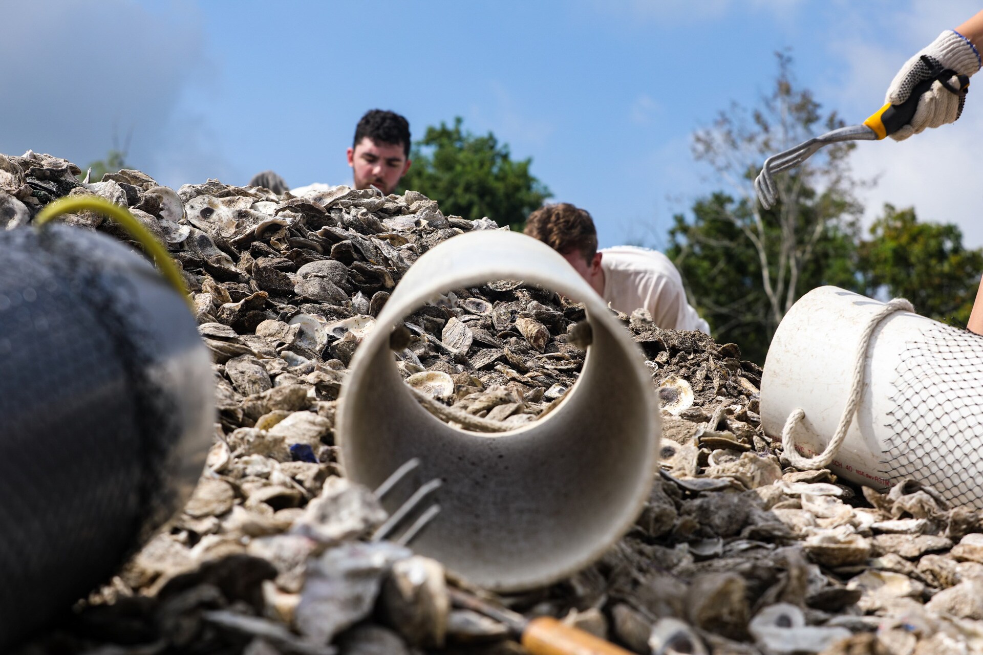 Photos: Pelicans employees participate in Oyster Shell Recycling ...