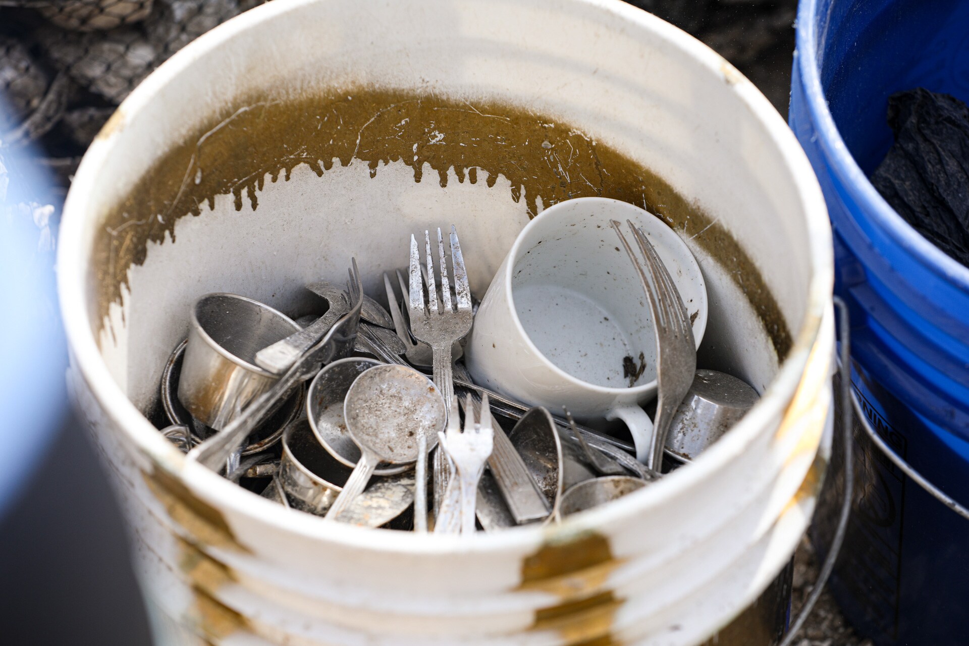 Photos: Pelicans employees participate in Oyster Shell Recycling ...