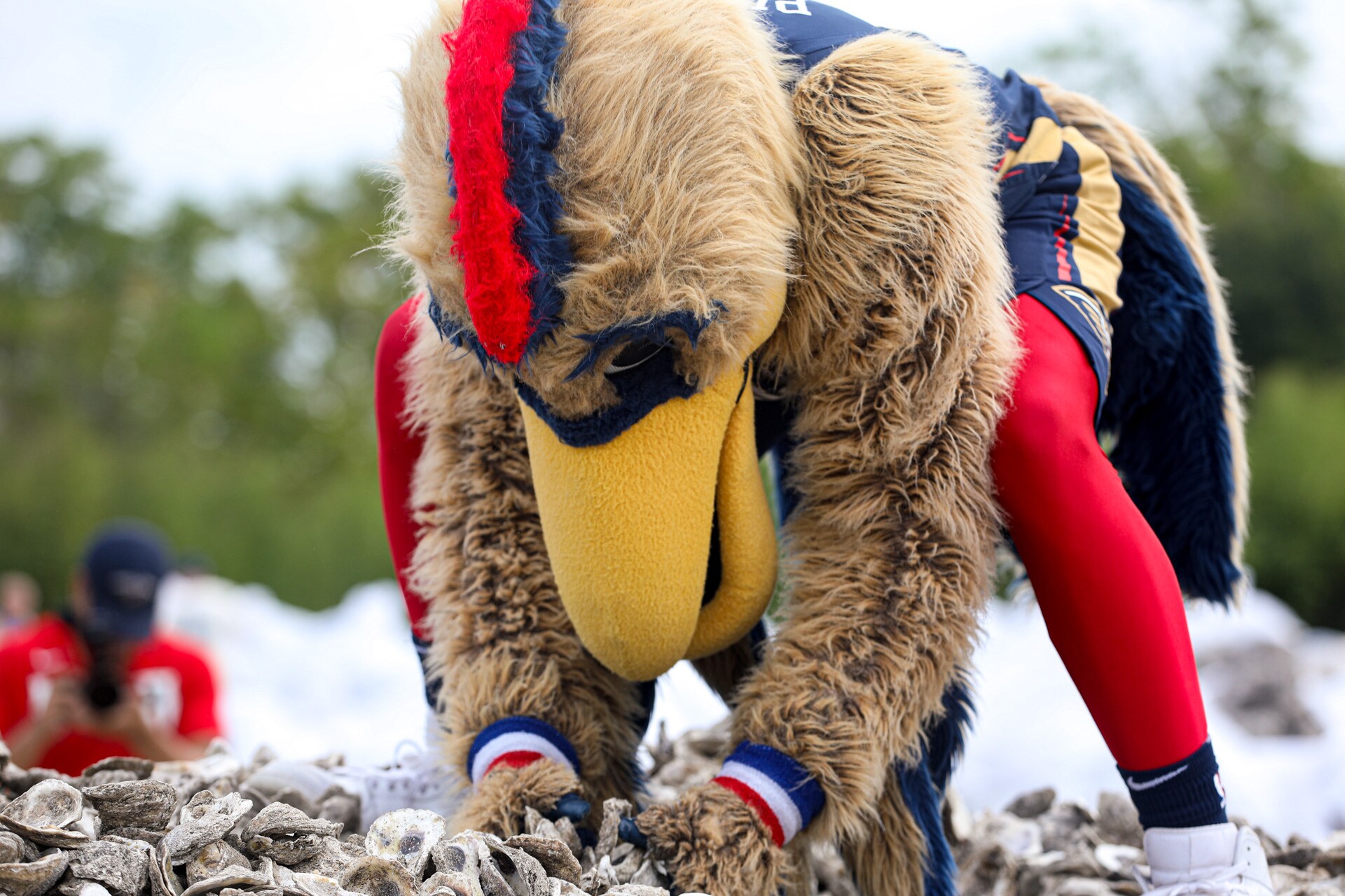 Photos: Pelicans employees participate in Oyster Shell Recycling ...