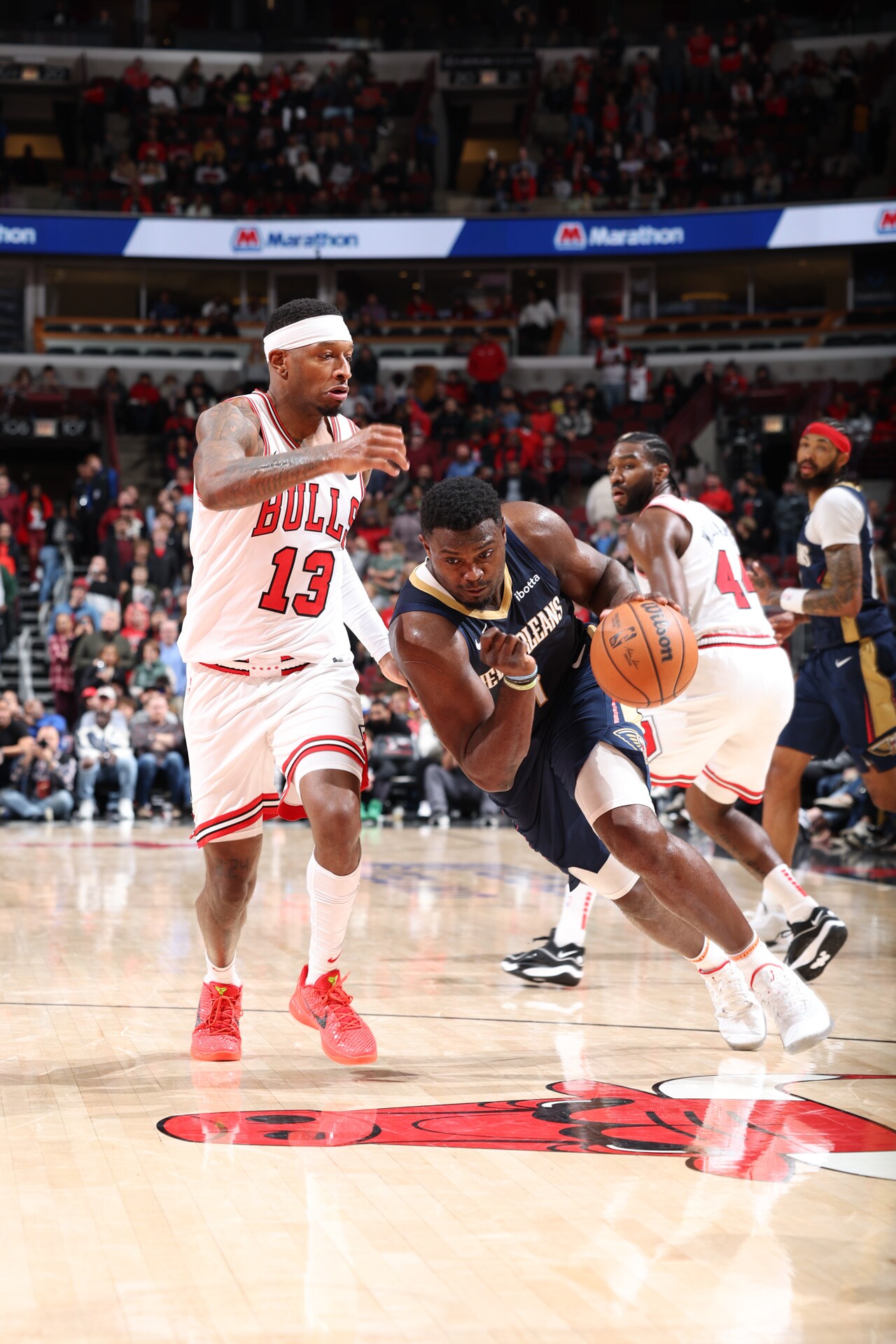 Photos: Pelicans at Bulls | Game Action Photos 12/2/23 Photo Gallery