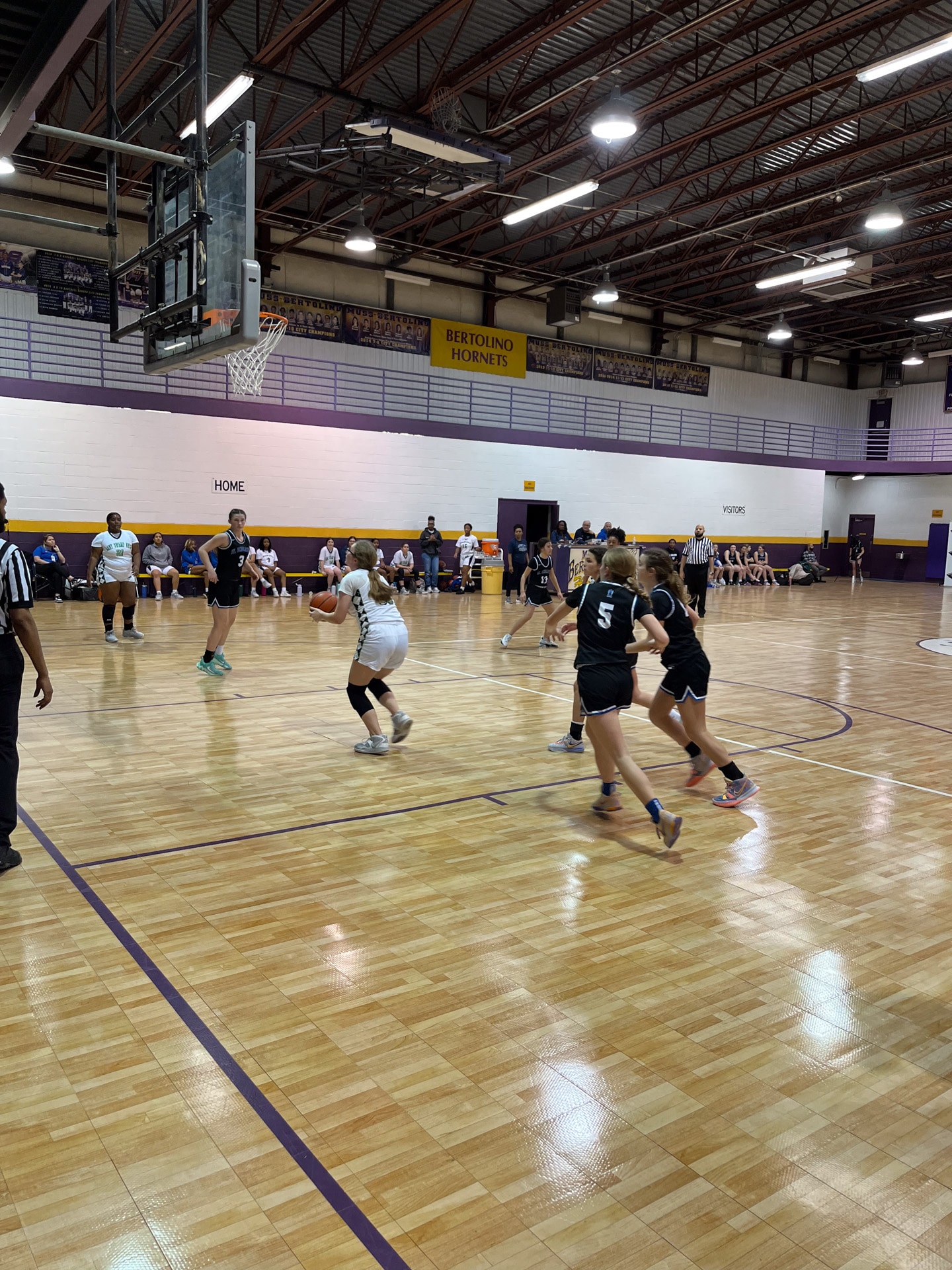 Photos: Pelicans host High School Girls Basketball Shootaround and Game ...
