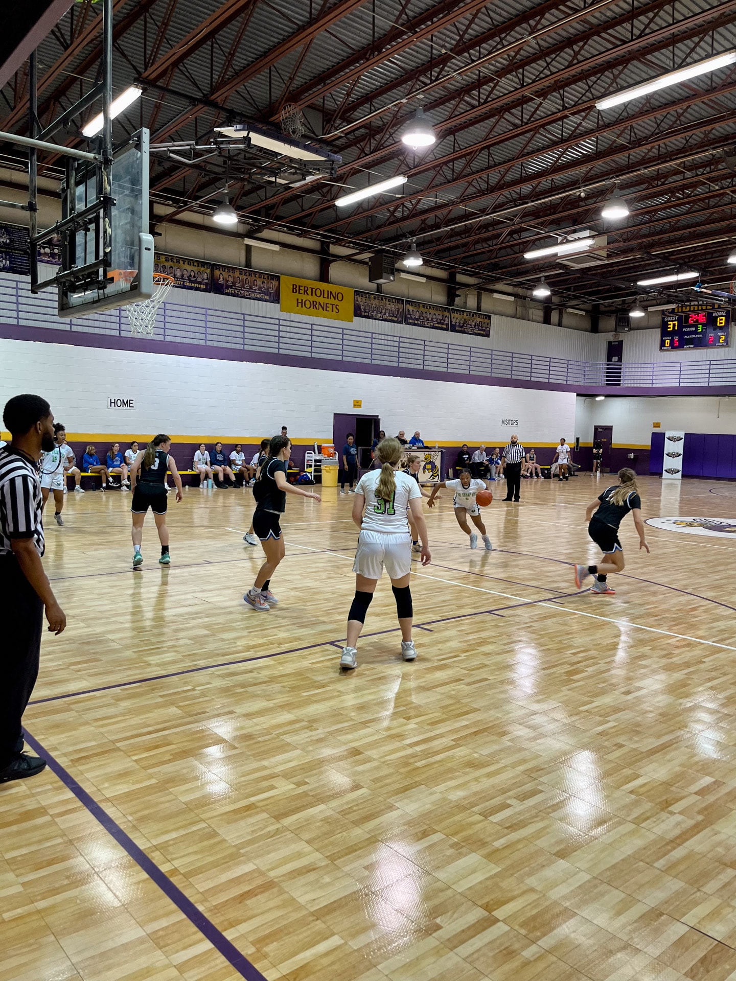 Photos: Pelicans host High School Girls Basketball Shootaround and Game ...